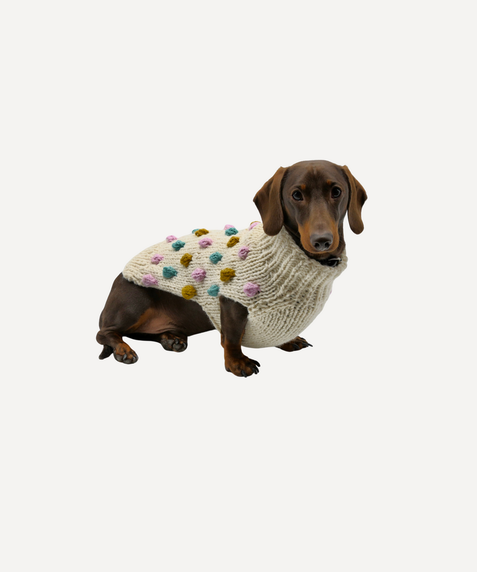 Bobble Dog Jumper in Cream – Marla & Primrose