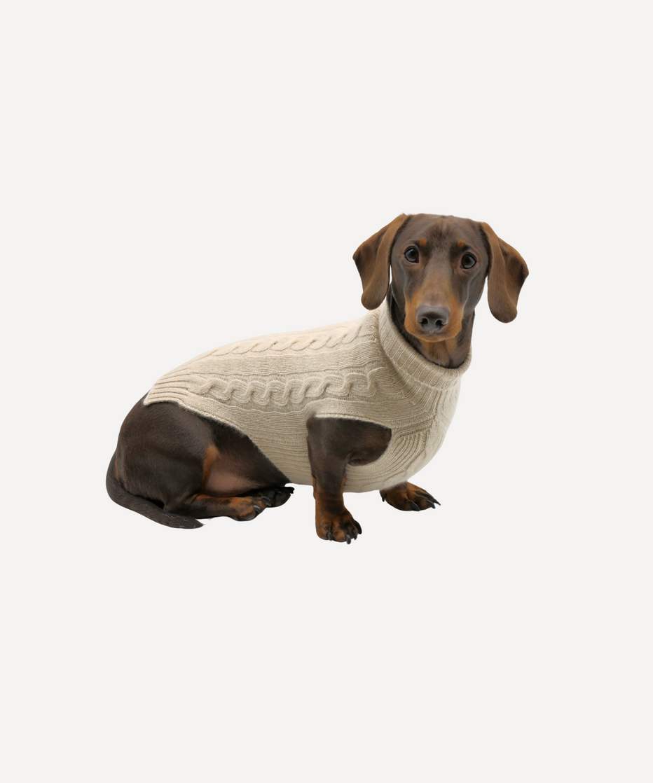 Natural Cashmere Dog Jumper – Marla & Primrose